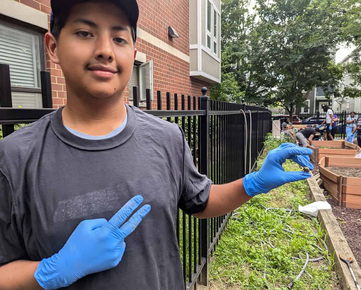 STEMM Scholars Academy - CPASS Foundation