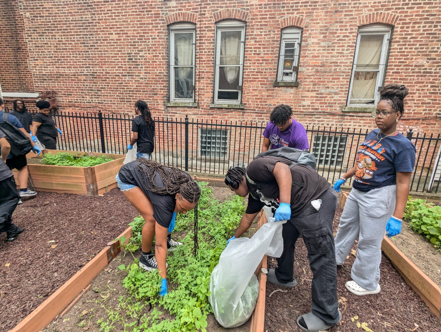 STEMM Scholars Academy - CPASS Foundation